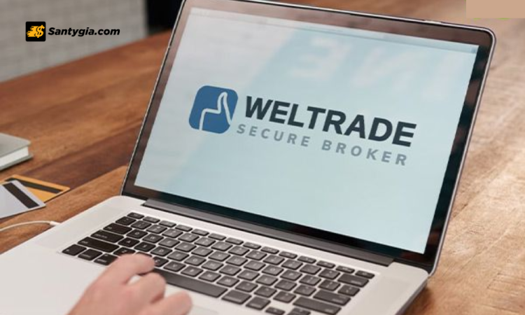 Đánh giá sàn Weltrade từ A-Z: Phí, tài khoản, nền tảng và hỗ trợ khách hàng