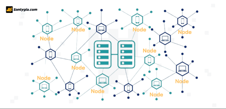 Node là gì? Cách hoạt động và tầm quan trọng trong hệ thống Blockchain